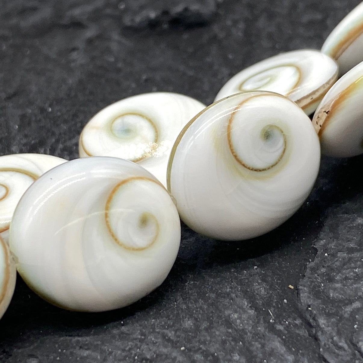 Indonesian Shiva Eye Shell Beads - (Doublet) Two Shells in One Bead ...